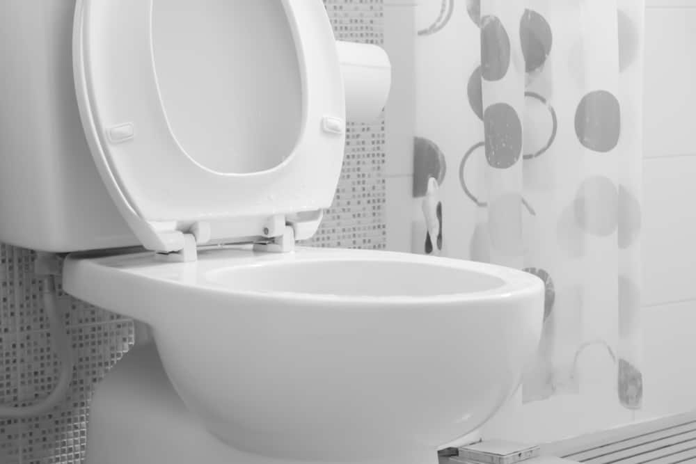 10 Best Flushing Toilets of 2023 – Power Flush Toilet Reviews 10 Best Flushing Toilets of 2023 – Power Flush Toilet Reviews